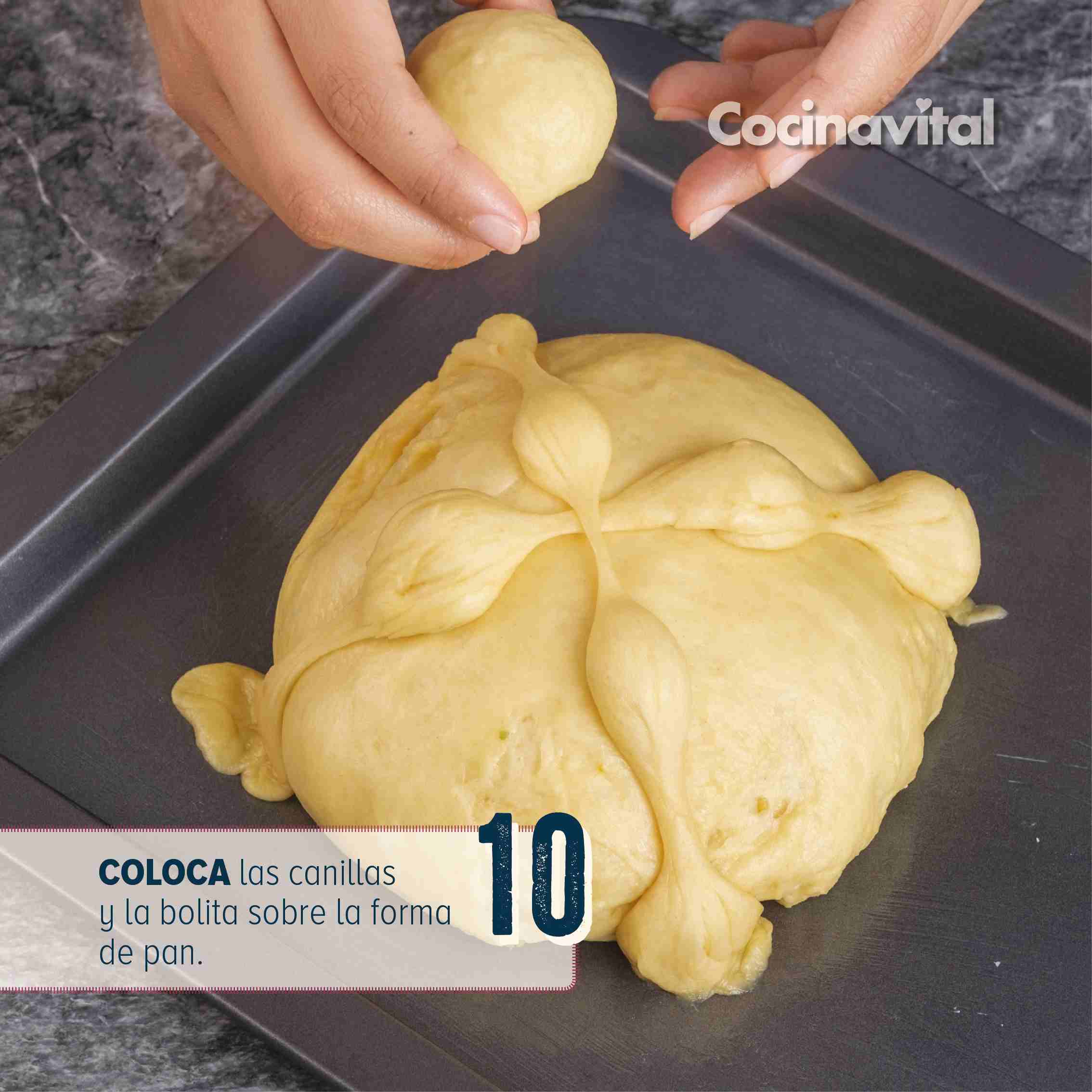 Cómo hacer pan de muerto rosa, galería paso a paso Cómo hacer pan de muerto rosa, galería paso a paso
