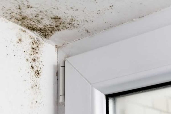 Cómo eliminar para siempre la humedad de las paredes con 2 materiales