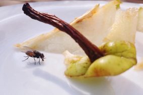 ¿Cómo ahuyentar las moscas? 8 remedios caseros que sí sirven