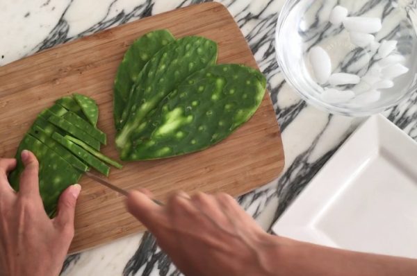 Aprende cómo embellecer tu piel con una mascarilla de baba de nopal