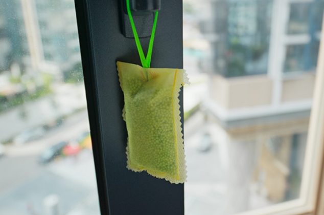 ¿Cómo eliminar mosquitos de casa? 7 remedios caseros y efectivos