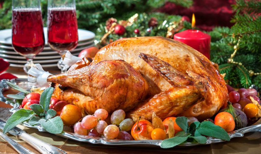 mejores-marcas-de-pavo