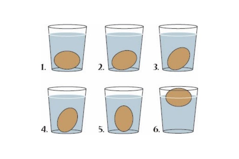 como-saber-si-un-huevo-esta-podrido-infografia