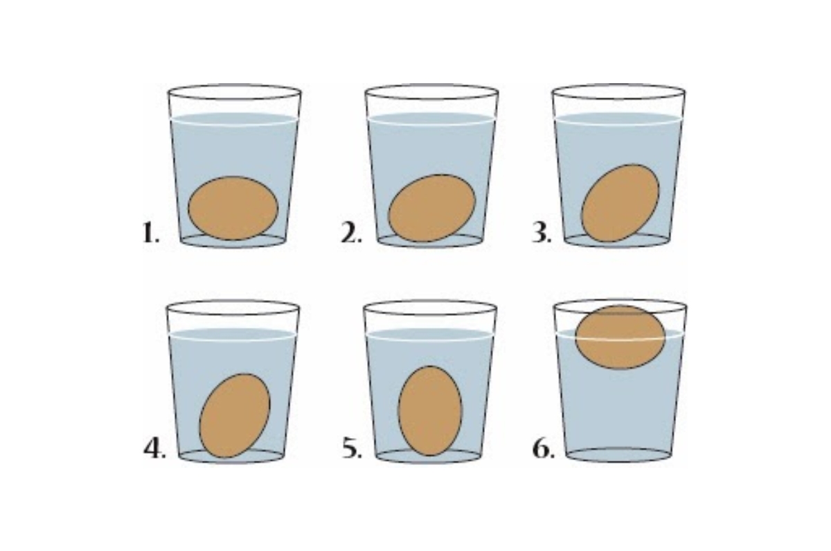 como-saber-si-un-huevo-esta-podrido-infografia