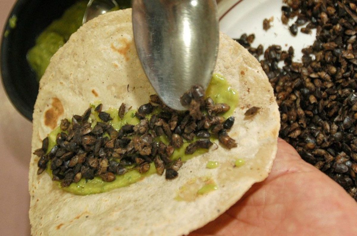 Los 25 peores platillos mexicanos según Taste Atlas, lista completa