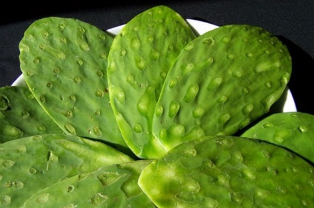 ¡Por las nubes!, así pego la cuesta de enero en el precio del nopal