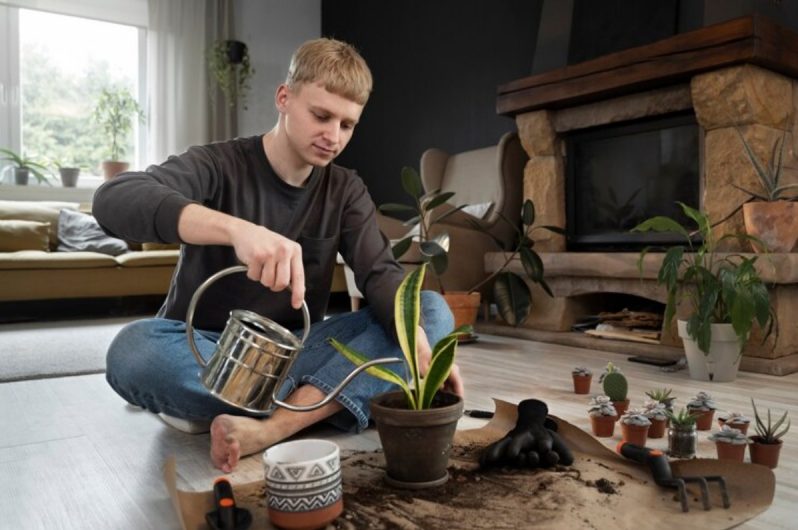 Cuándo se debe cambiar una planta de maceta y cómo trasplantar fácilmente