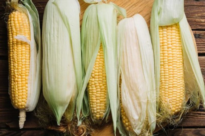 Prepara una fría y cremosa agua de elote, ¡con sólo 4 ingredientes!