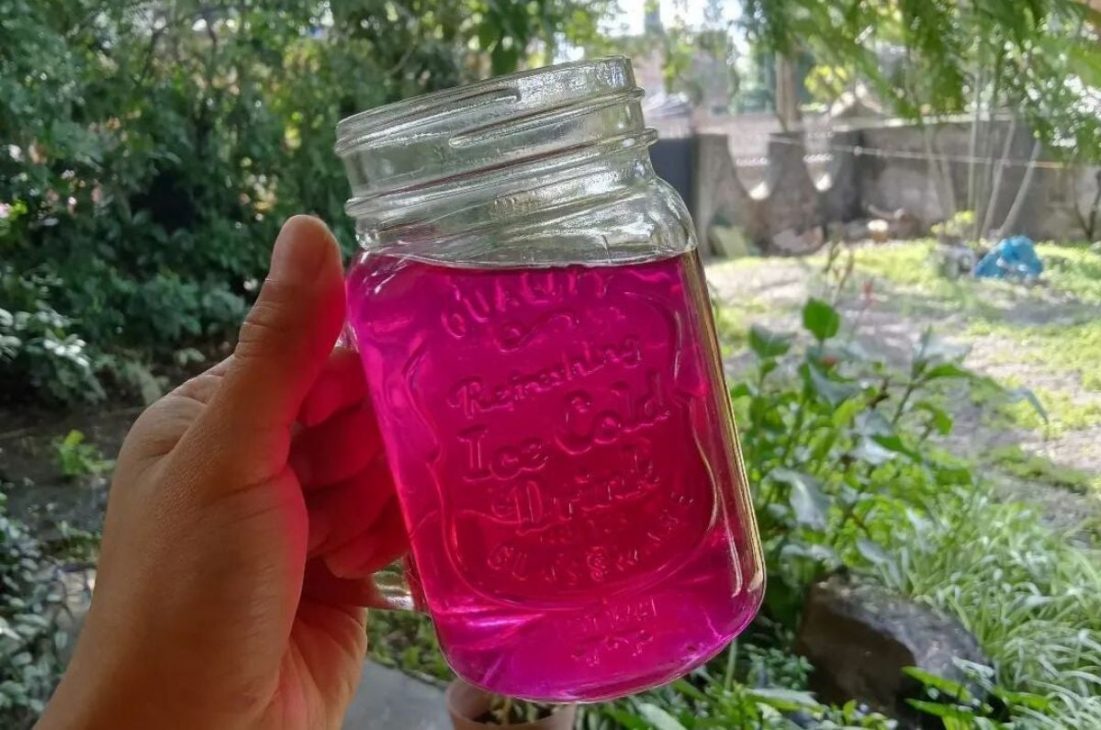 ¿Qué es el muicle, por qué inhiben las células cancerígenas y receta de ...