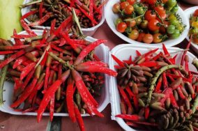 La flor mexicana en forma de espada que alivia el dolor de muelas e ...