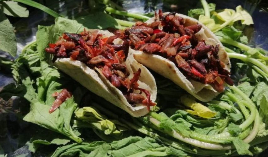 flor-de-colorin-tacos