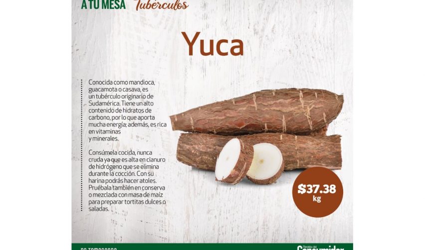 beneficios-de-la-yuca