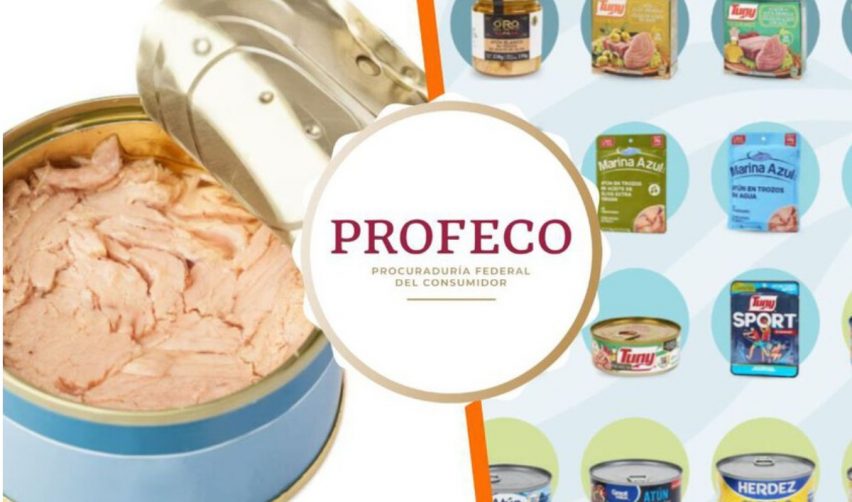 mejores-marcas-de-atun