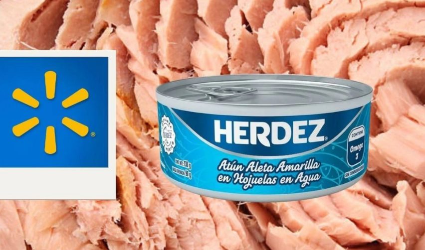 mejores-marcas-de-atun-en-lata-2024-estudio