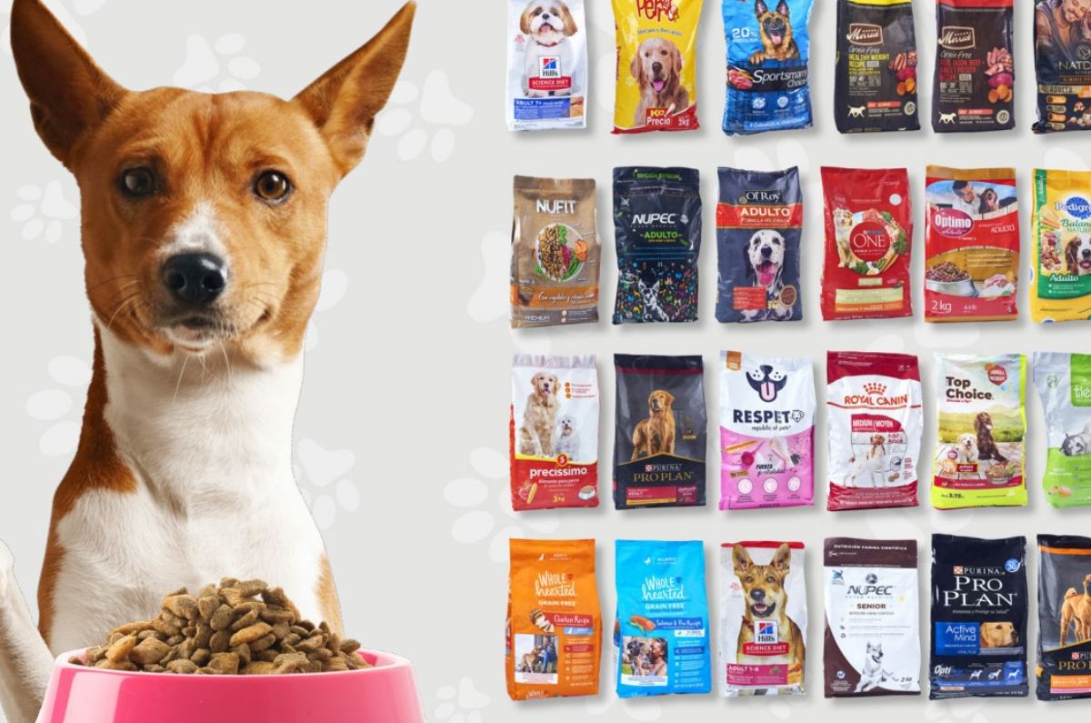 Casi nadie la compra, pero esta es la mejor marca premium de croquetas ...