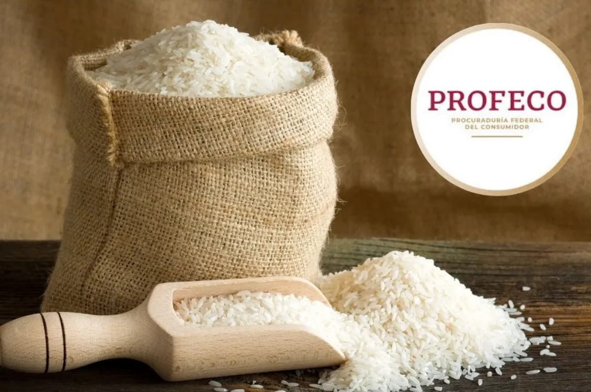 Conoce la mejor marca de arroz según Profeco, cuesta 21 pesos y alto ...