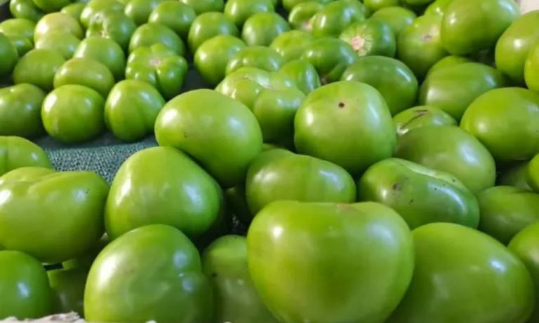 Kilo de tomate verde: Profeco revela dónde comprarlo más barato