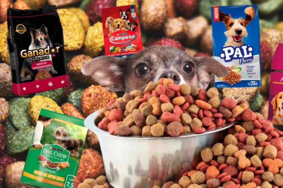 Croquetas Para Perro Profeco 2025 Marcas