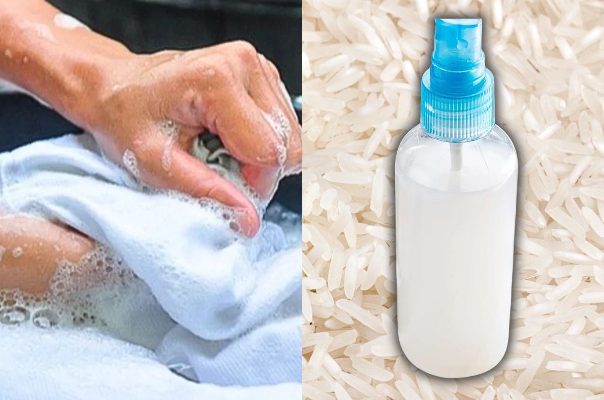 Agua de arroz para lavar ropa blanca percudida: Beneficios e indicaciones