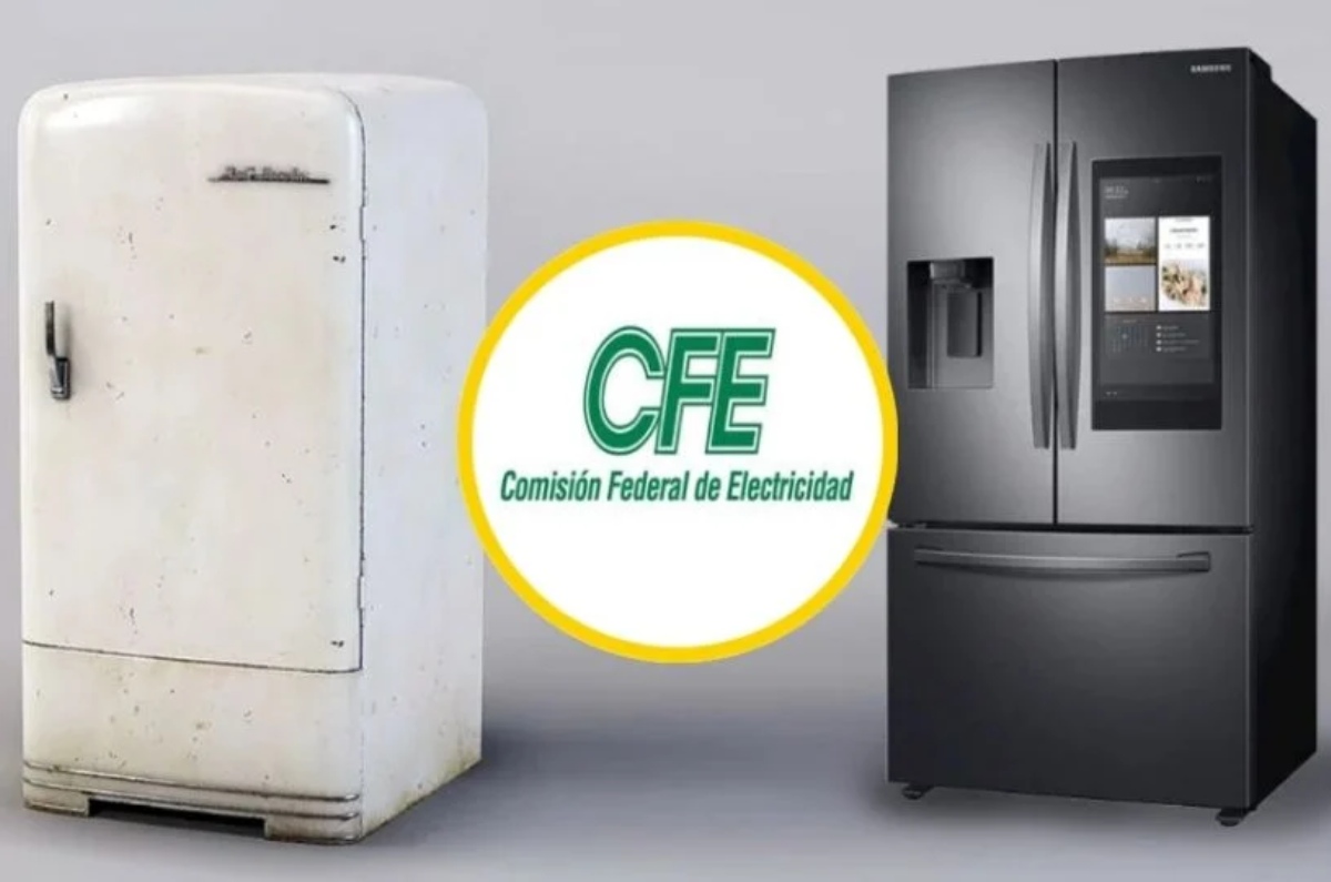 CFE revela los trucos que harán que el refrigerador gaste menos ...