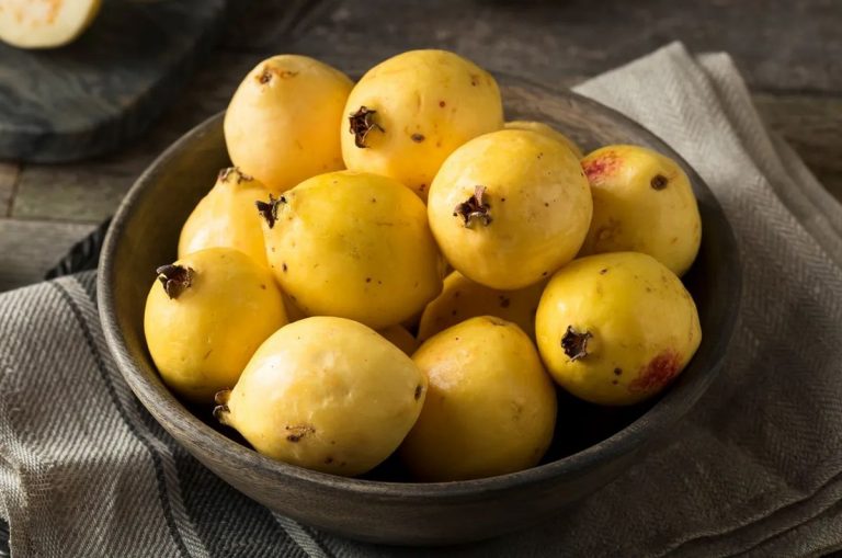carlota-de-guayaba-receta