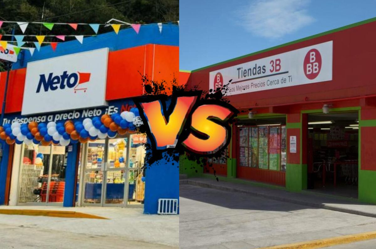 Dónde comprar la canasta básica en Tiendas 3B y Neto según expertos
